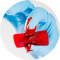Home - Bioventus Surgical