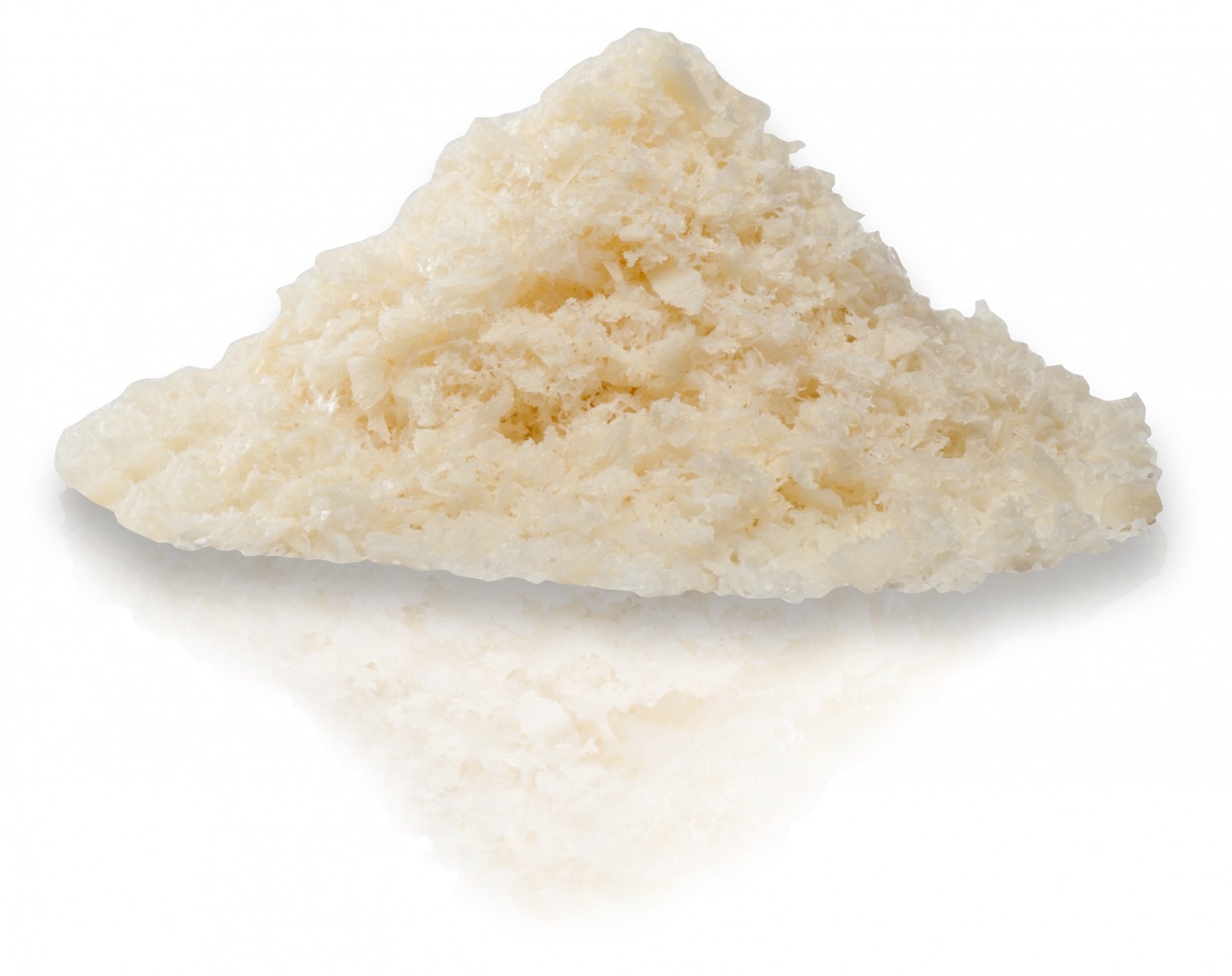 OSTEOAMP-Family - Bioventus Surgical