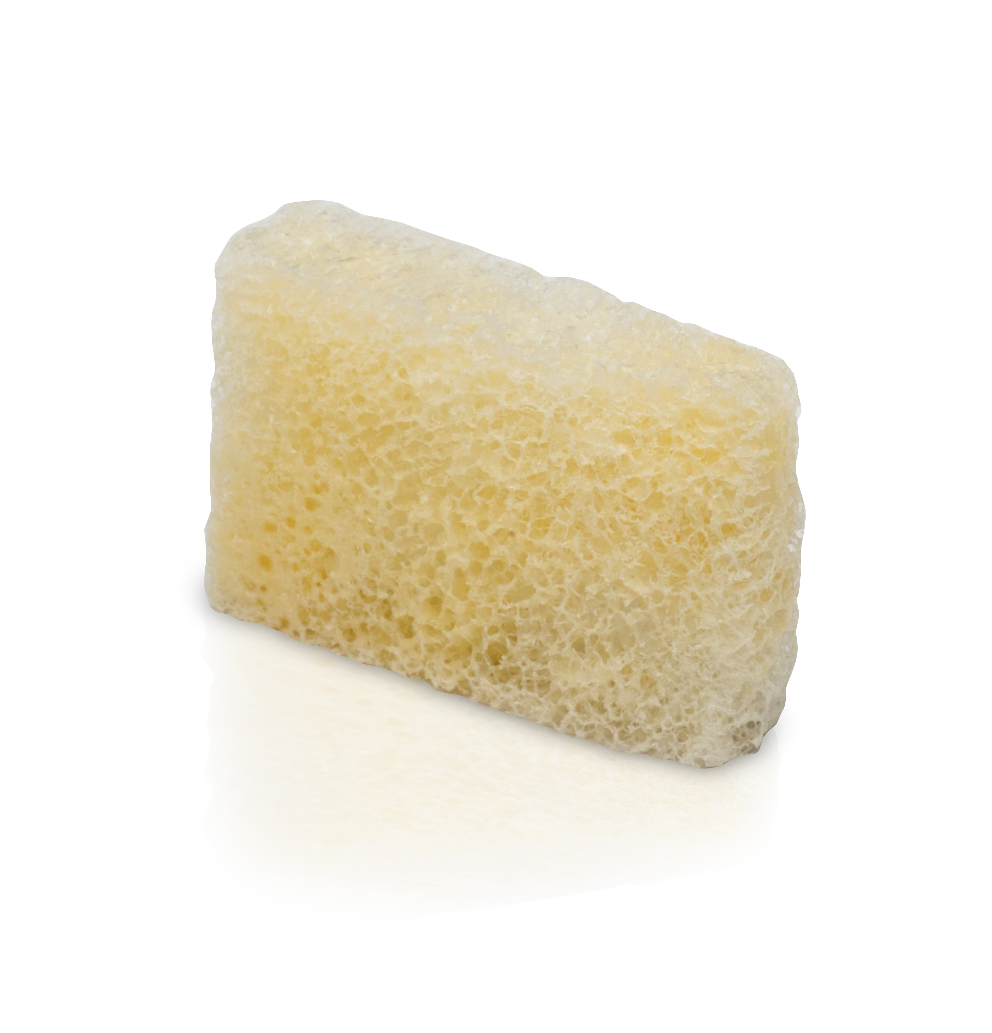 OSTEOAMP-Family - Bioventus Surgical