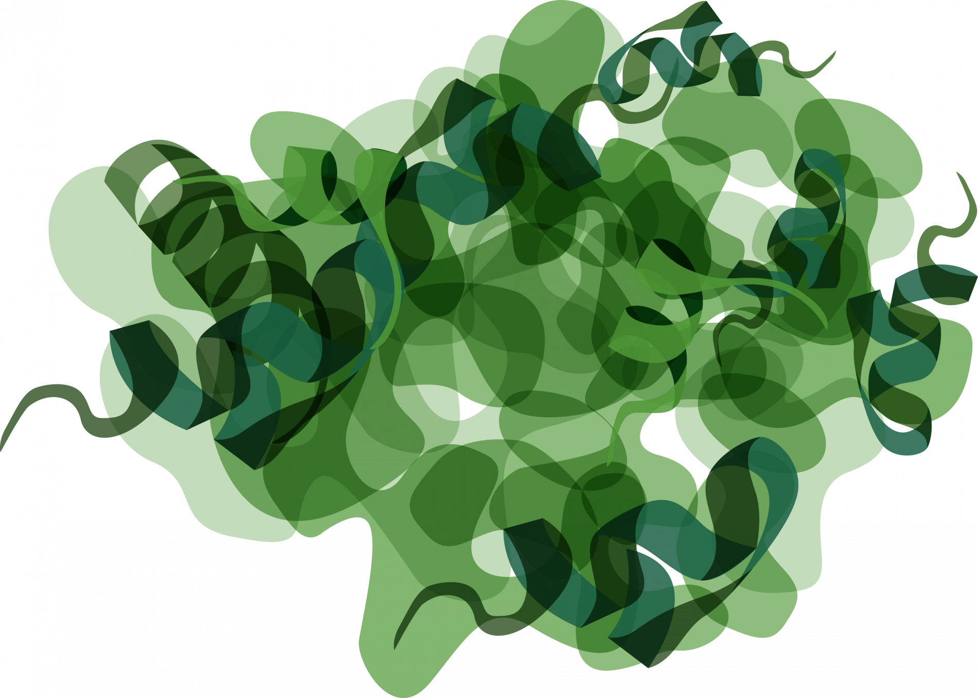 OSTEOAMP SELECT - Bioventus Surgical