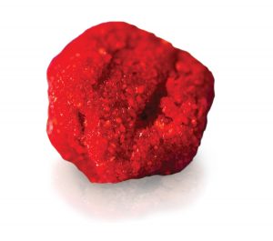 OSTEOAMP-Family - Bioventus Surgical